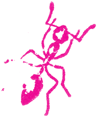 TOUR – Scowl | Official Store