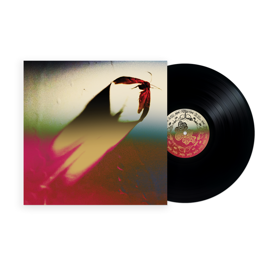 Scowl Official Store – Scowl | Official Store